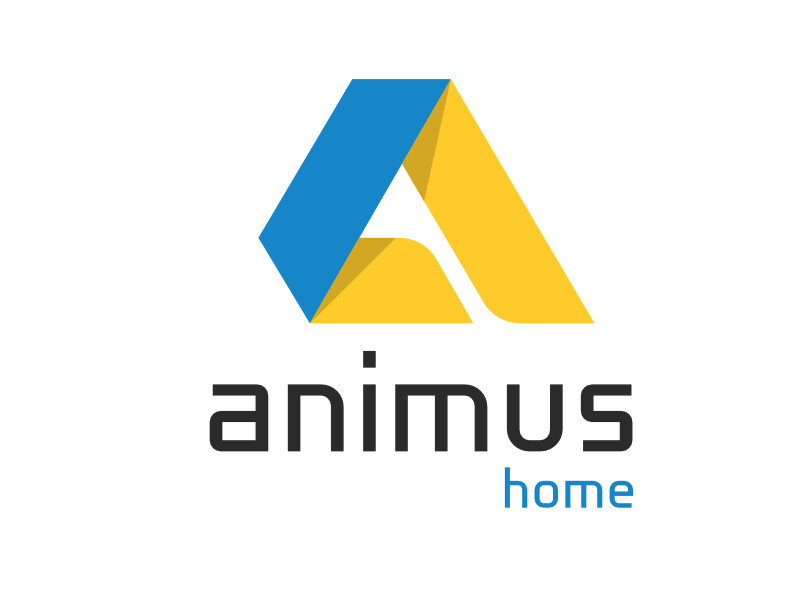 Animus Home | IT History Society